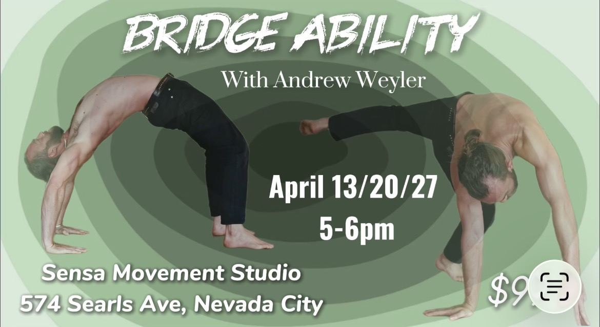 Movement Mentorship | Bodyweight Mastery & Movement Intelligence